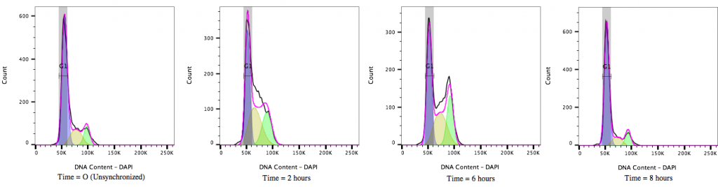 DNA Content & Ploidy Analysis